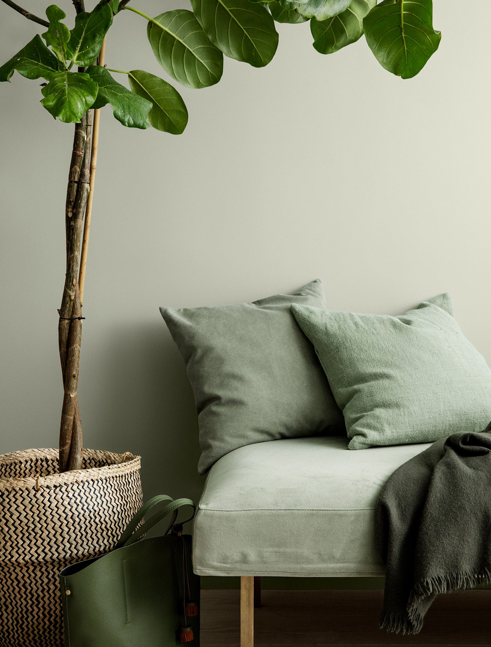 How to use the Colour Card | Jotun ColourTrends 2018